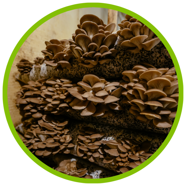 Home Cultivation Methods - Self-Reliance & Survival