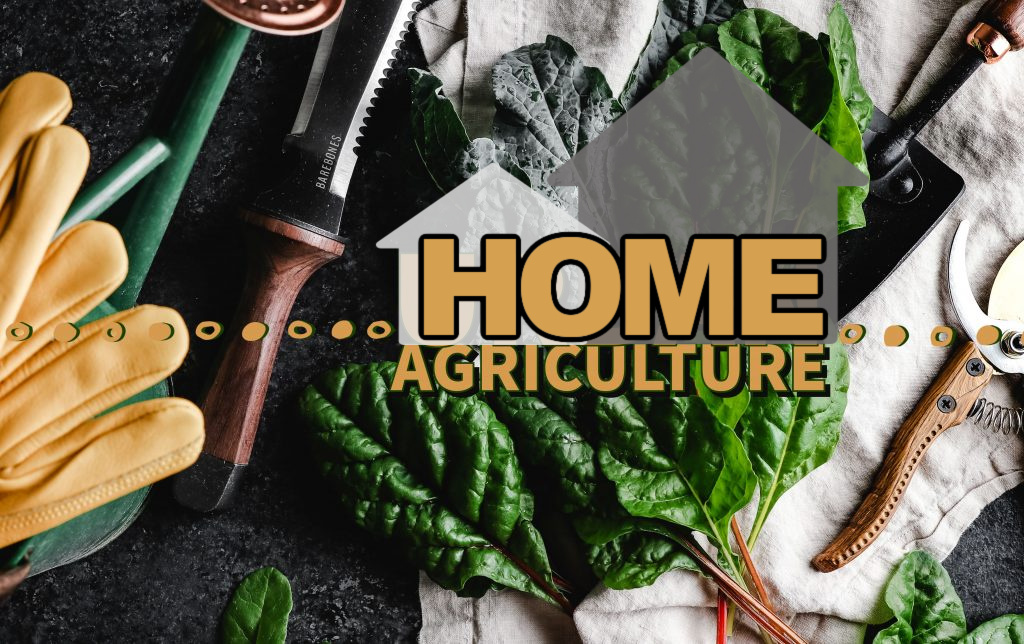 Home Agriculture Comprehensive