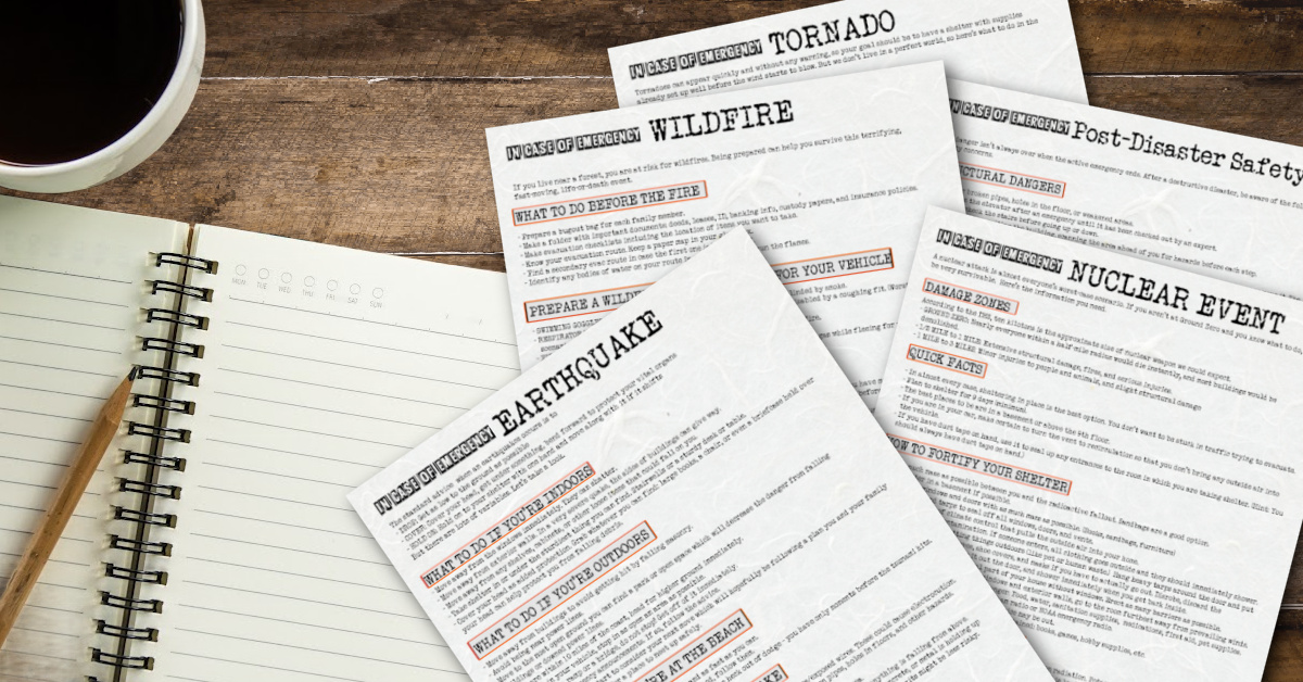 In Case of Emergency: Printable Disaster Pack